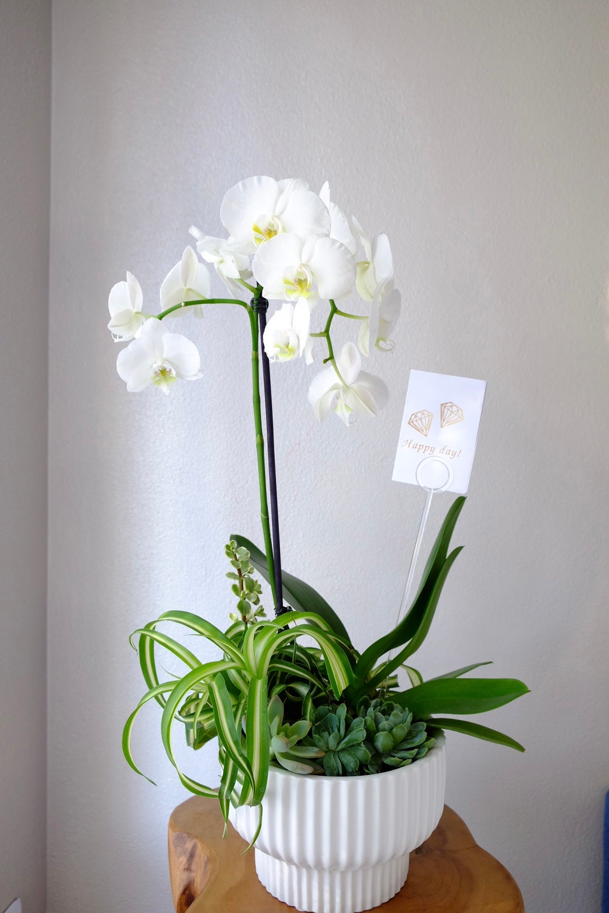 Orchid Garden – Four Seasons Flora
