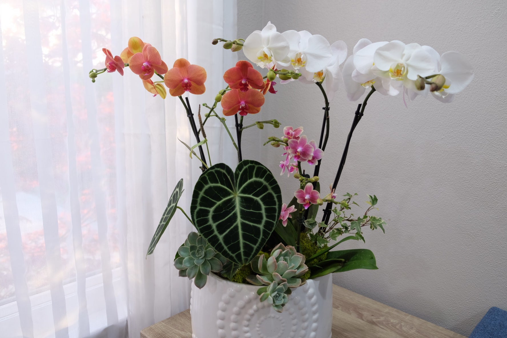 Botanical Beauty – Four Seasons Flora